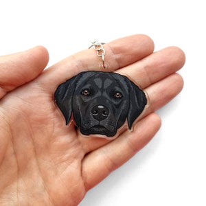 Labrador Keyrings & Dog Collar Charms Chocolate Lab Black Golden ...