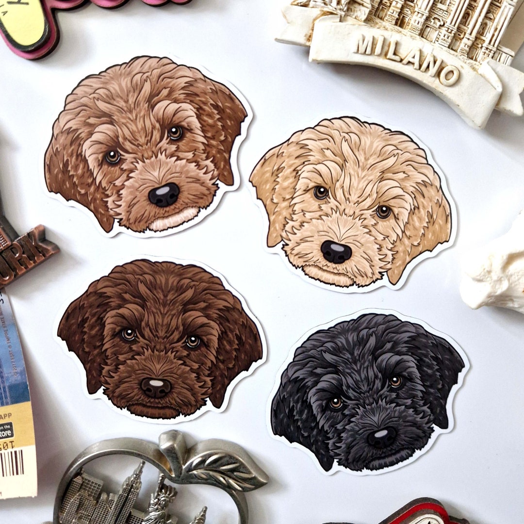 Cockapoo Fridge Magnet / Cavapoo Magnets Apricot Chocolate Brown Black ...