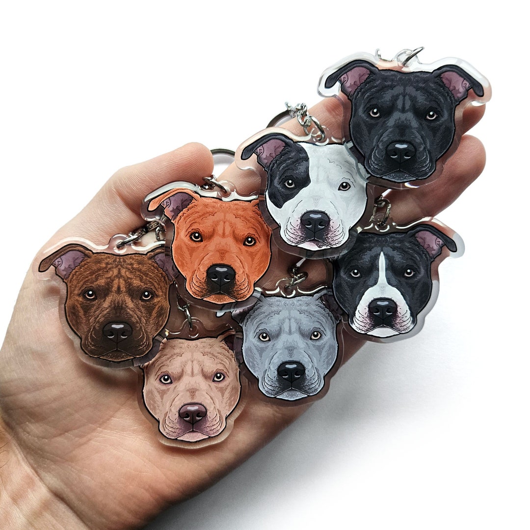 Staffordshire Bull Terrier Keyrings & Collar Charms American Pit Bull ...