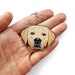 Labrador Keyrings & Dog Collar Charms Chocolate Lab Black Golden ...