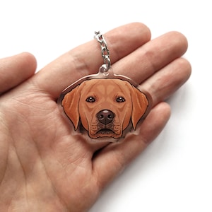 Labrador Keyrings & Dog Collar Charms Chocolate Lab Black Golden ...