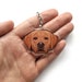 Labrador Keyrings & Dog Collar Charms Chocolate Lab Black Golden ...