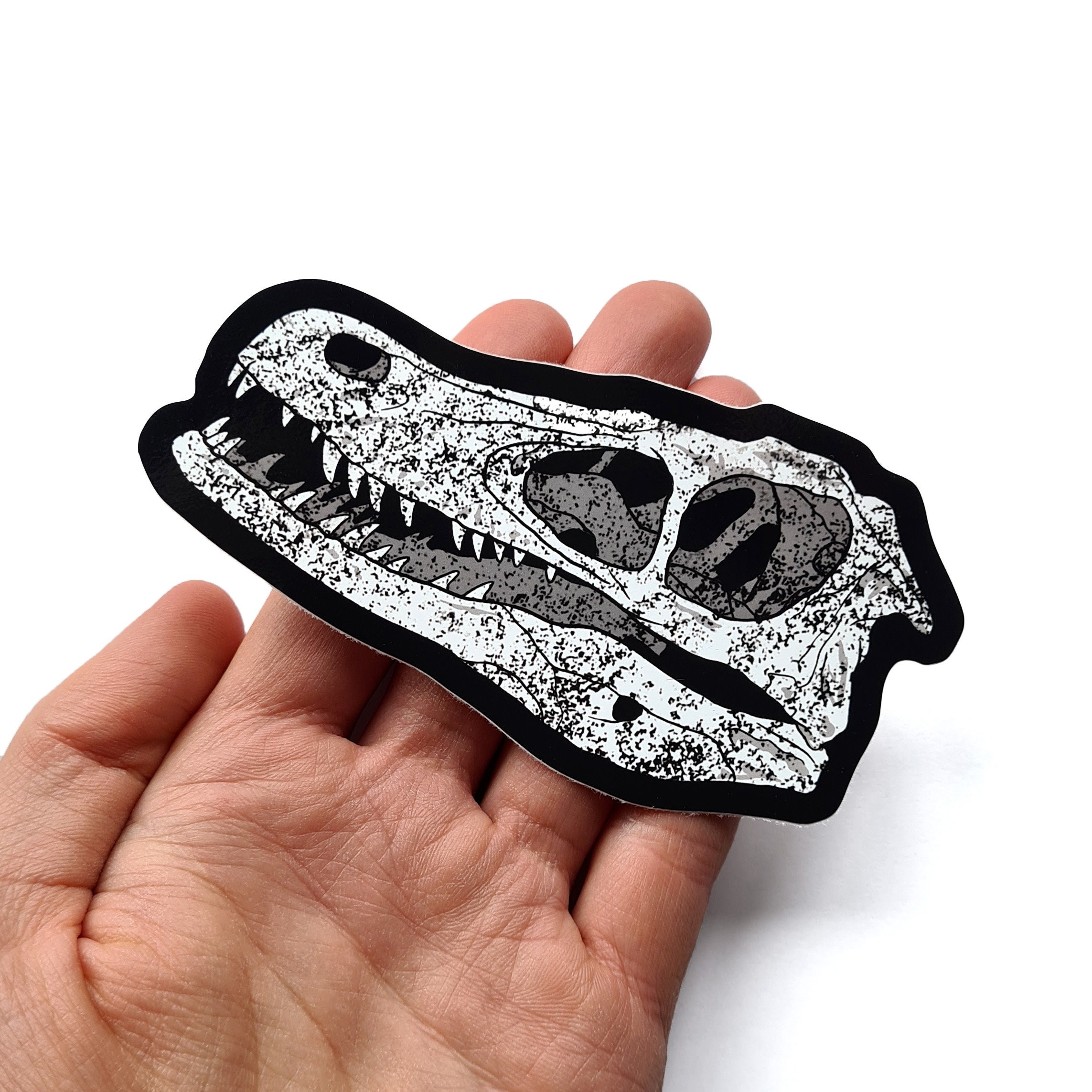 Dinosaur Skull Stickers CARNIVORES Glossy Decal - Etsy
