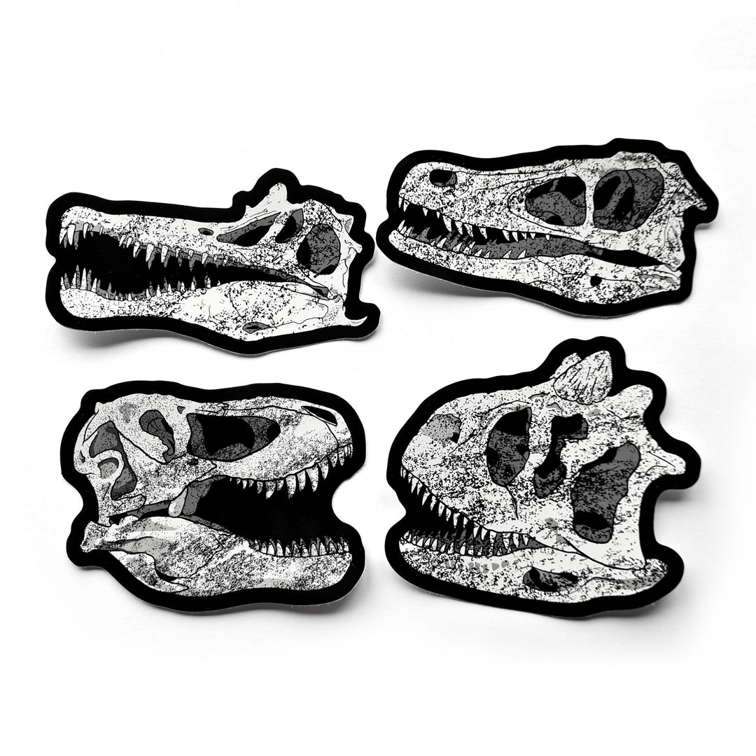 Dinosaur Skull Stickers CARNIVORES Glossy Decal - Etsy