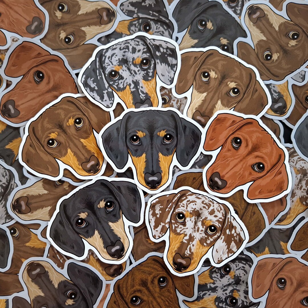 Dachshund Stickers Short Haired Dachshund Sausage Dog Breed Decal ...