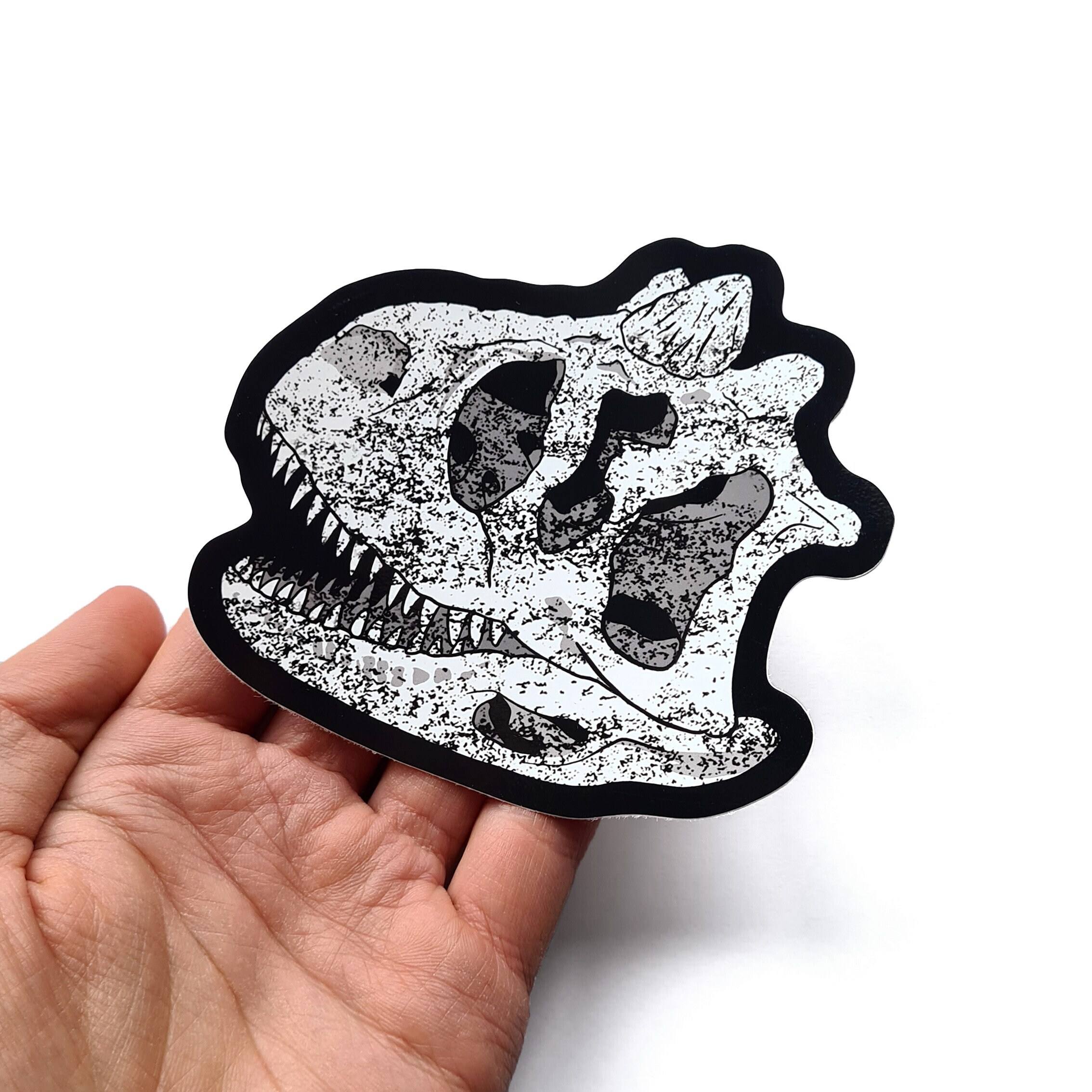 Dinosaur Skull Stickers CARNIVORES Glossy Decal | Etsy