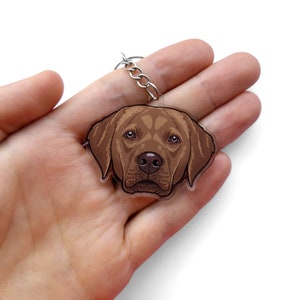 Labrador Keyrings & Dog Collar Charms Chocolate Lab Black Golden ...