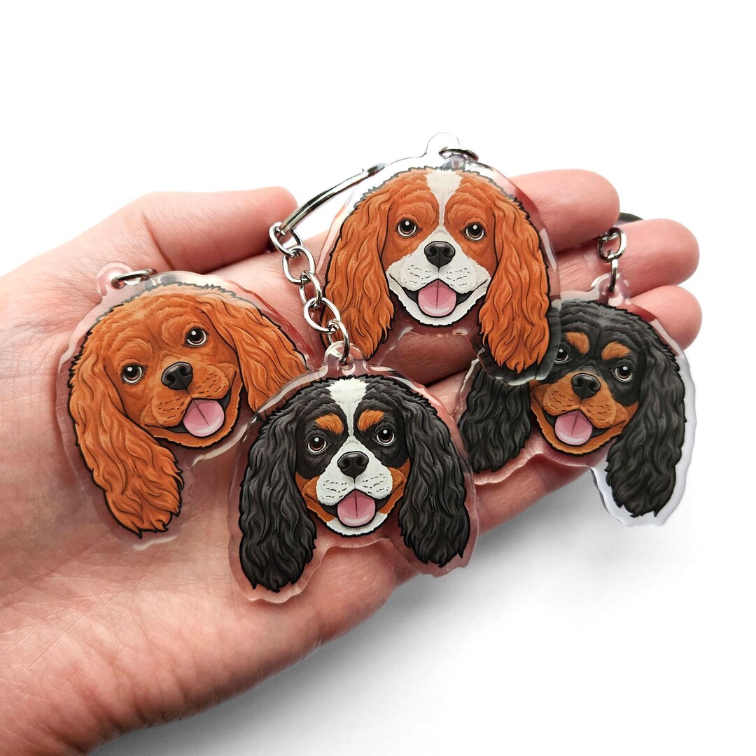 Cavalier King Charles Spaniel Keyrings & Dog Collar Charms Red White ...