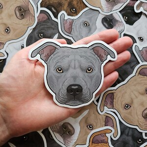 Staffordshire Bull Terrier Stickers Staffy Pit Bull Decal Vinyls - Etsy