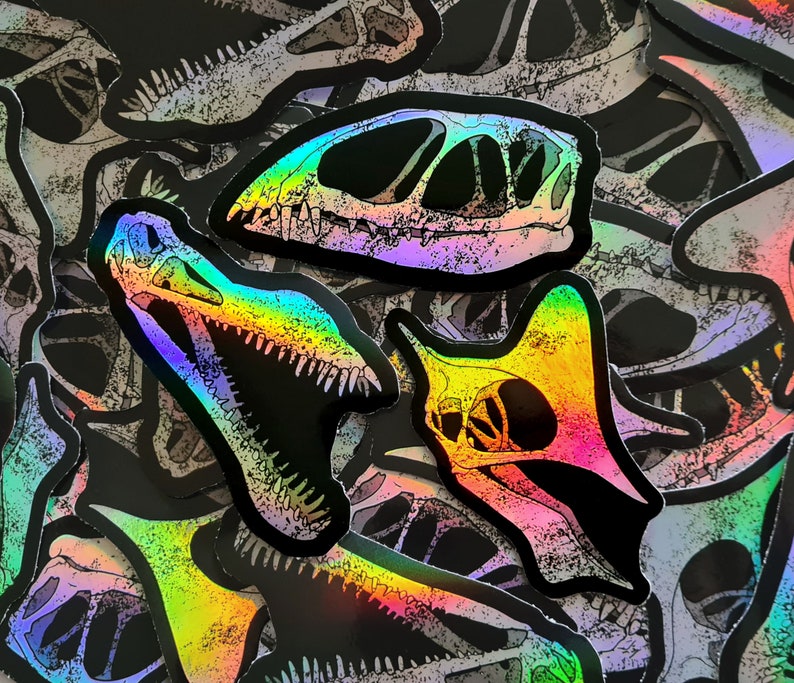 Dinosaur Skulls Carnivores Stickers Jurassic Fossil Bones - Etsy