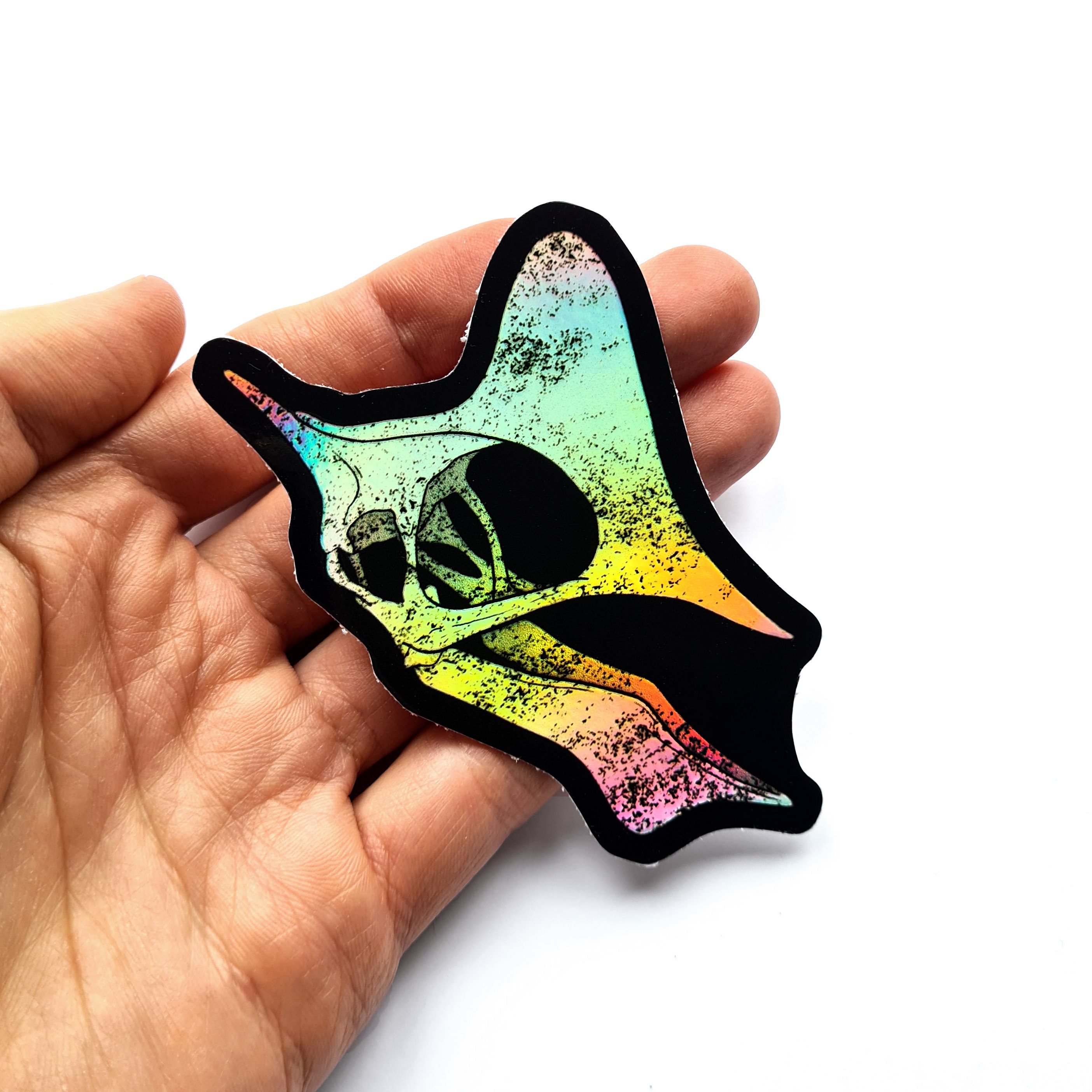 Pterosaur Skulls Stickers Jurassic Decal Holographic Vinyl - Etsy