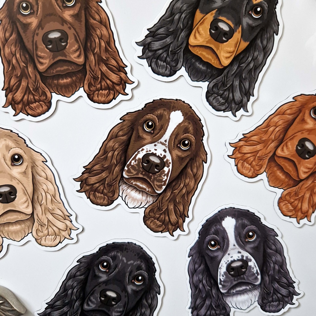 Spaniel Fridge Magnet Cocker Spaniels & Springer Spaniels Magnet - Etsy