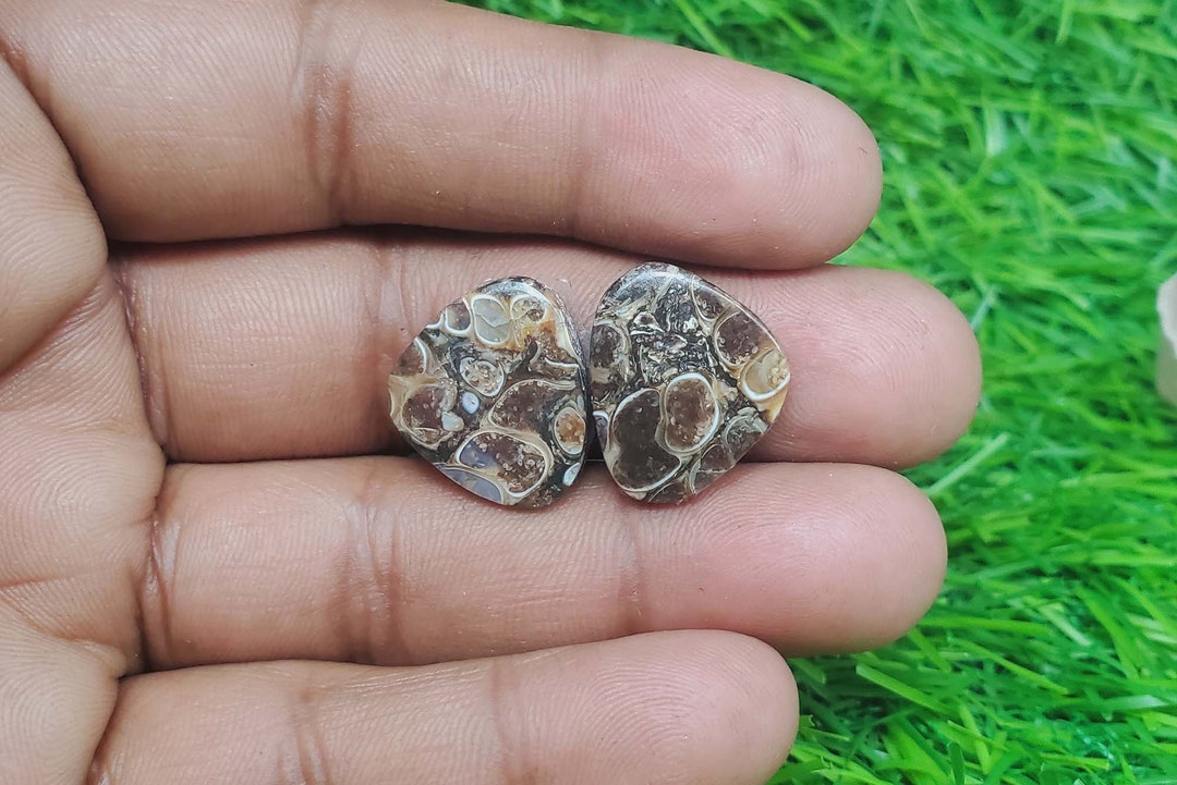 Natural Turritella Jasper Fancy Shape Cabochon Matching Pair, Stone for ...