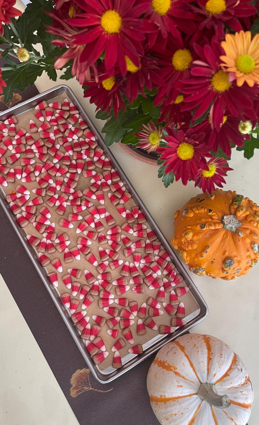 Freeze-dried Candy Corn Caramel Apple Flavor Crunchy Fall Treat ...