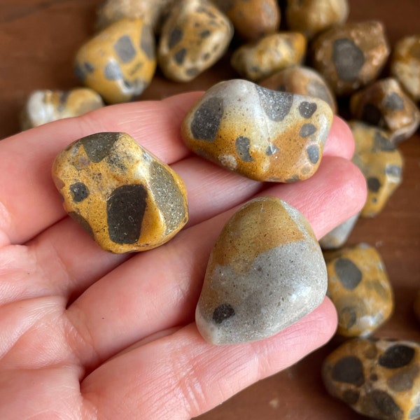 Spotted Stone Charm - Etsy