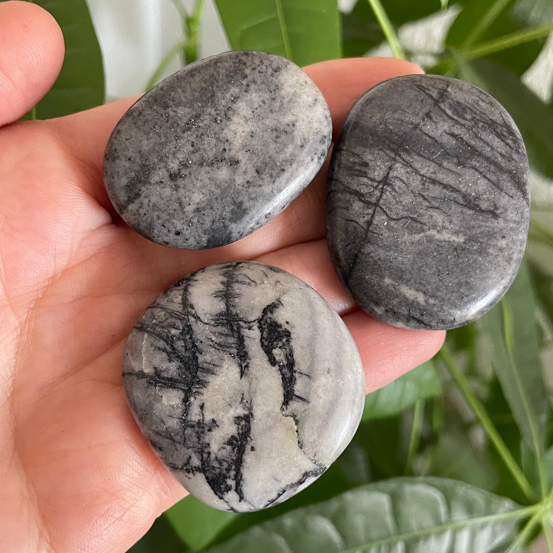 Net Jasper Palm Stone ~1-2" - Choose How Many - Polished Picasso Jasper ...