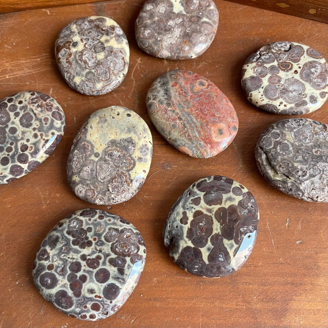Leopardskin Jasper Palm Stone - Choose How Many - Smooth Leopard Skin Jasper Pocket Stone ...