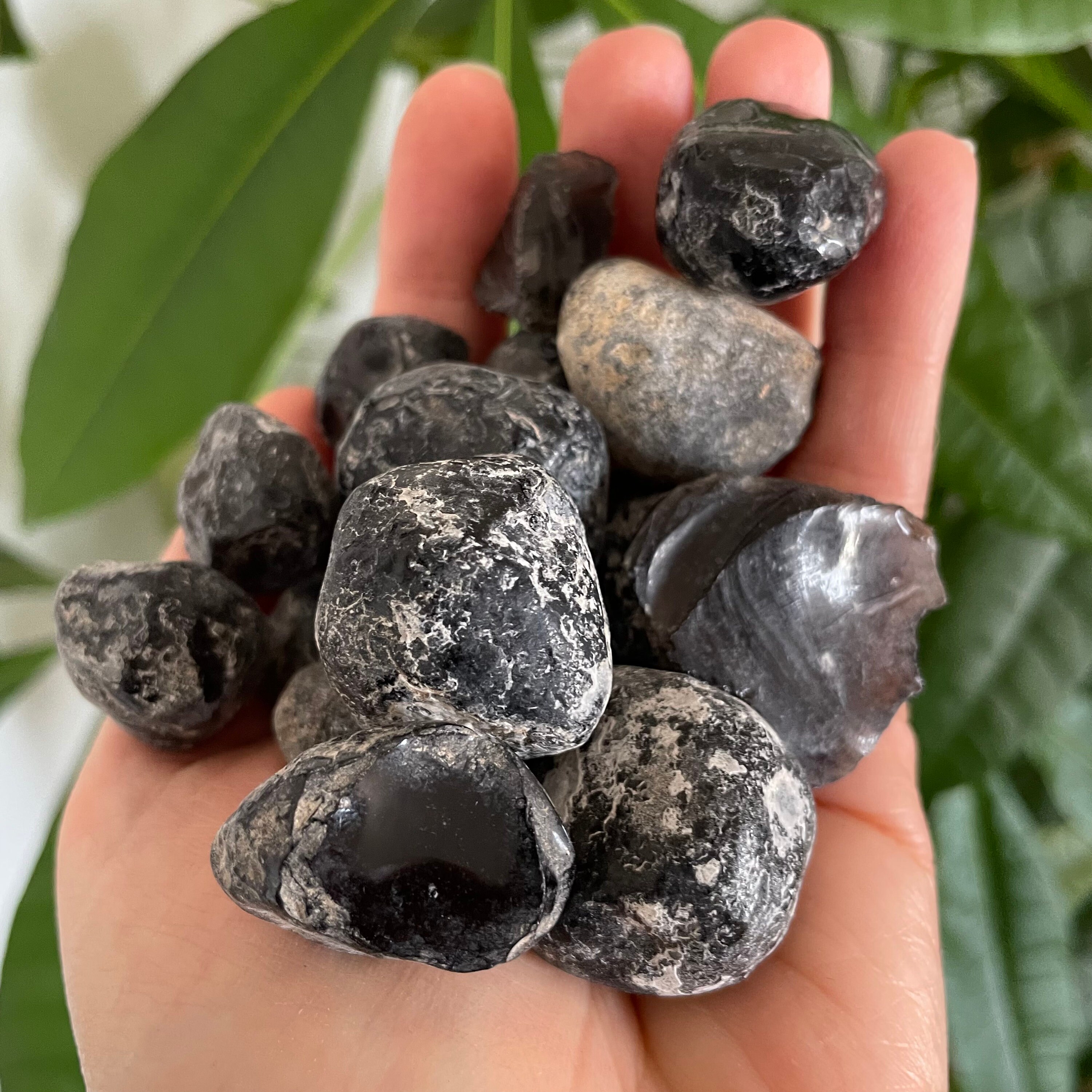 Authentic Apache Tears Crystals - Premium Obsidianite Pebbles From ...