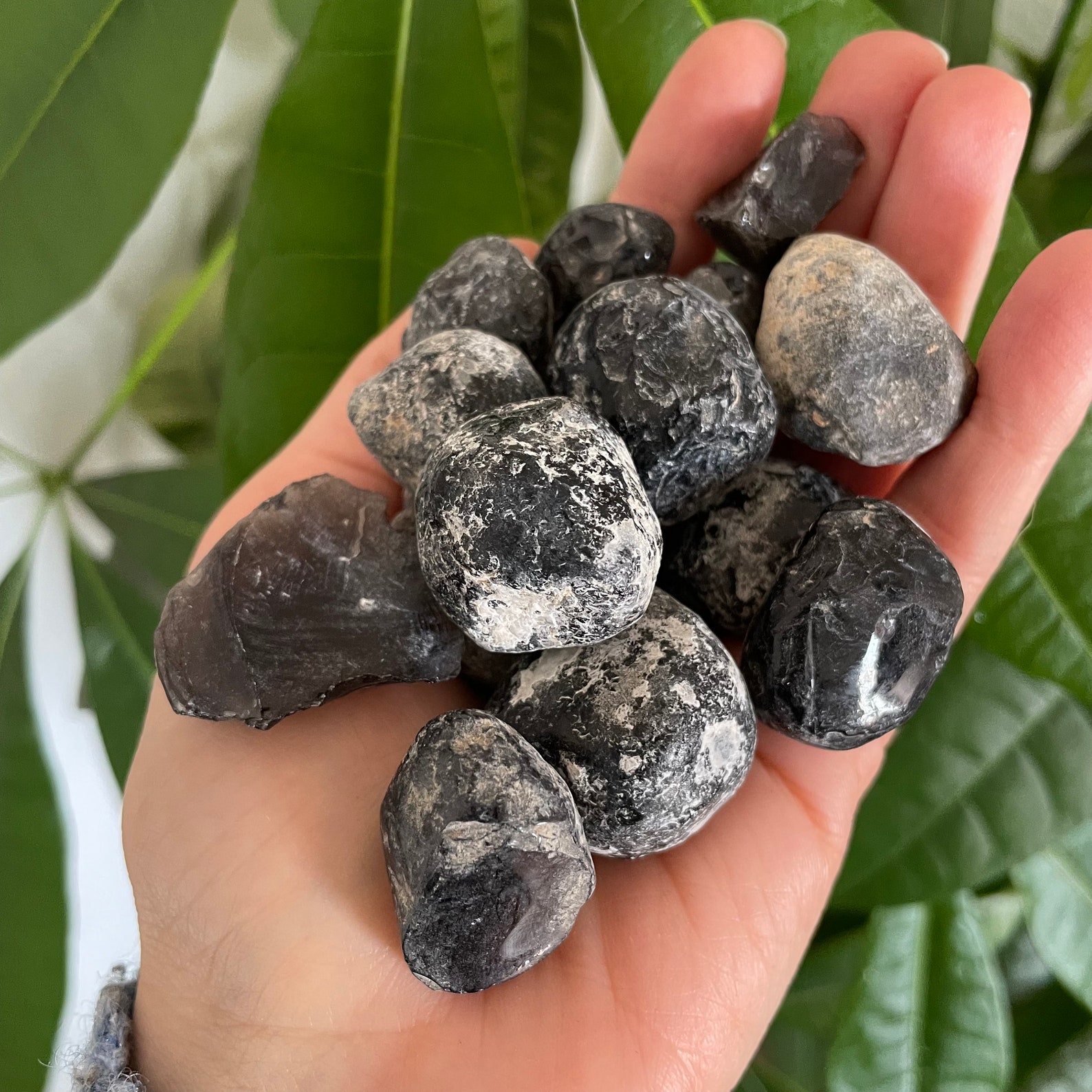 Authentic Apache Tears Crystals - Premium Obsidianite Pebbles From ...