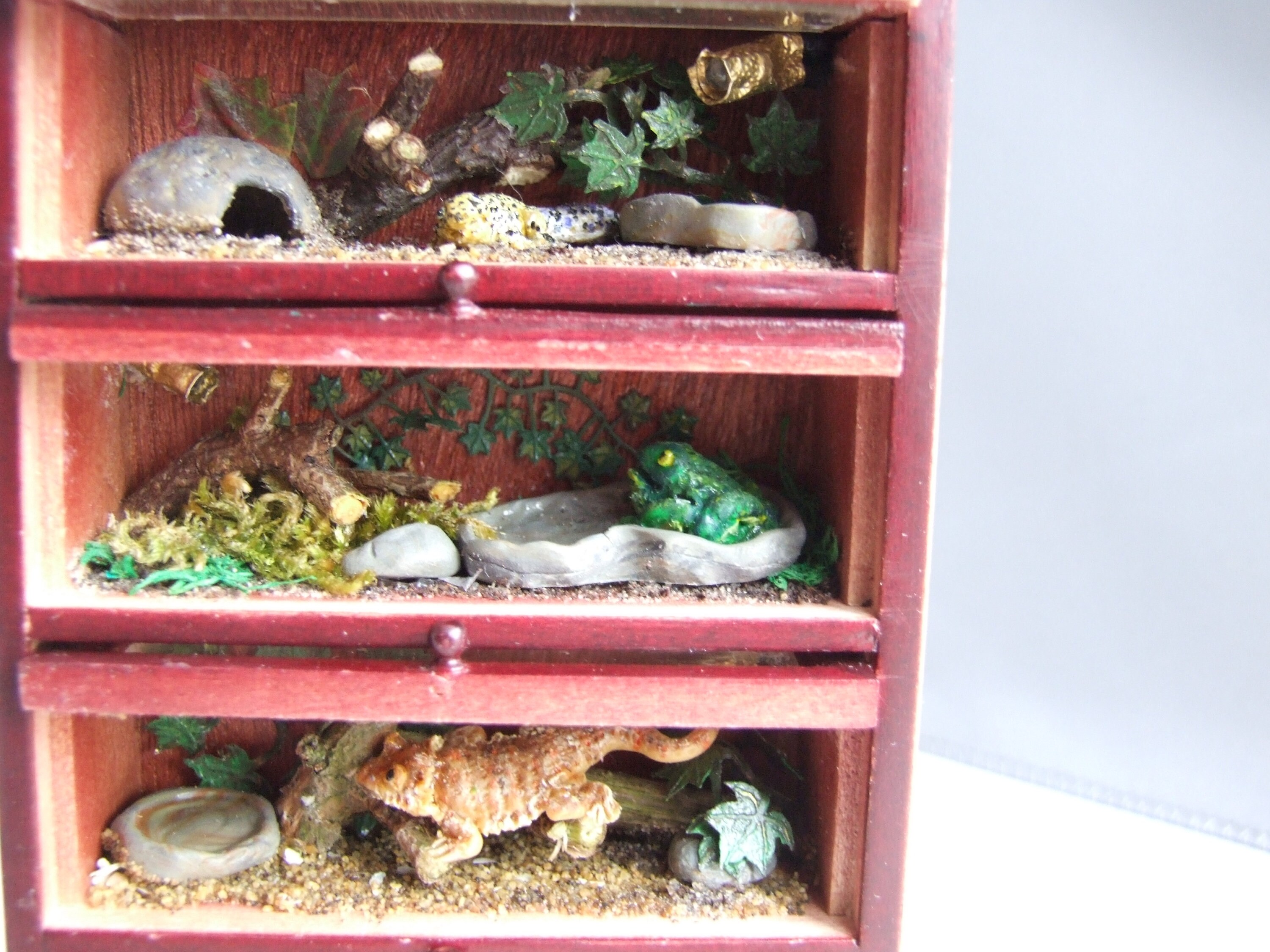 MM62 Miniature Vivarium Stack Art & Collectibles Dolls & Miniatures ...