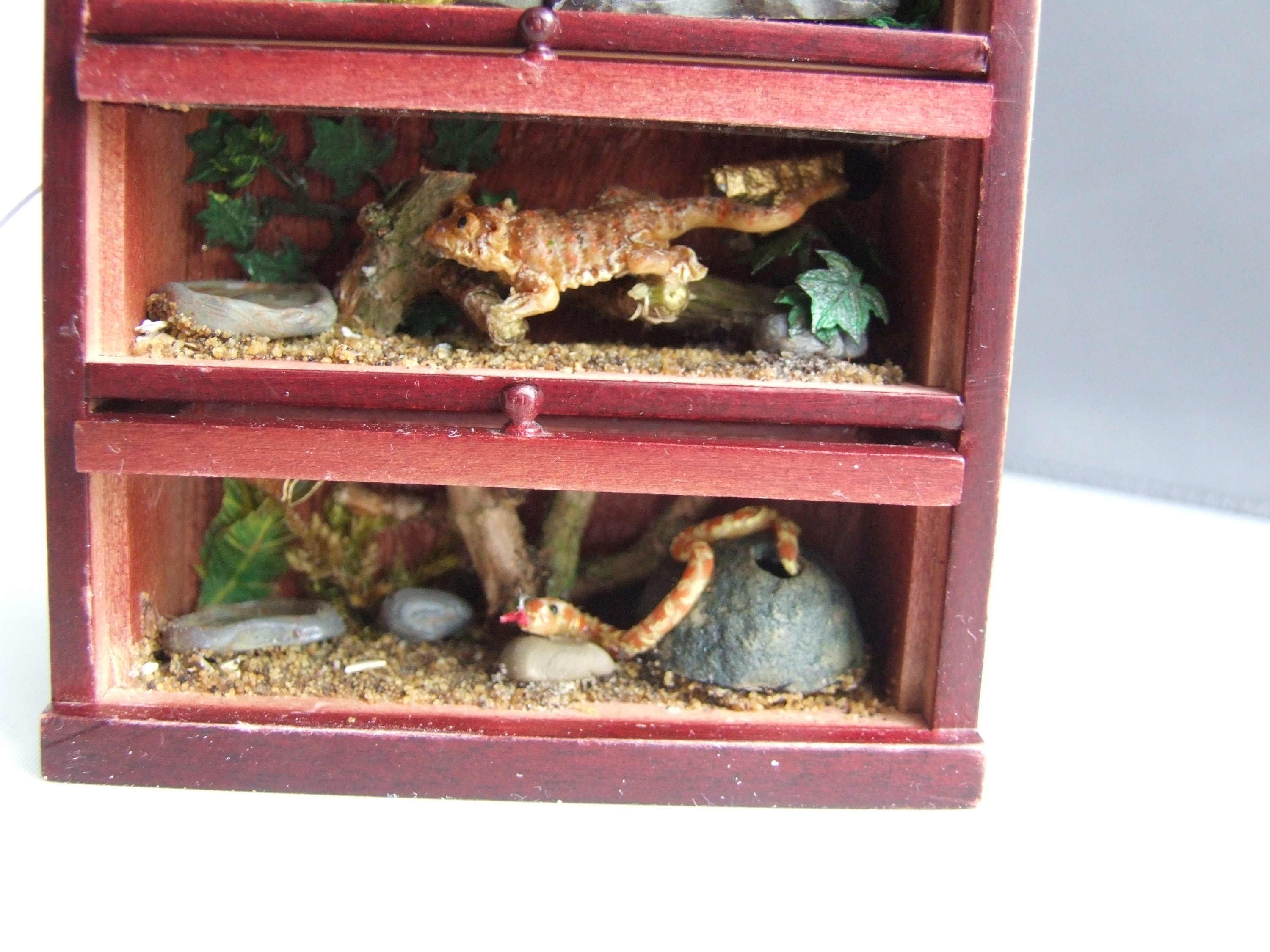 MM62 Miniature Vivarium Stack Art & Collectibles Dolls & Miniatures ...