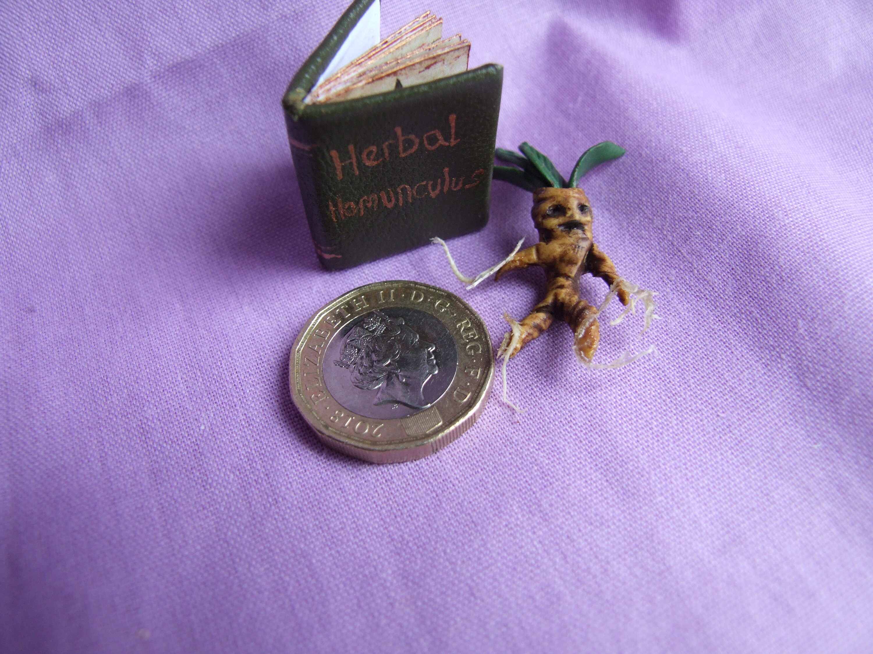 Esoteric Book : 'herbal Homunculus', Plus Mandrake Root.eb33 - Etsy