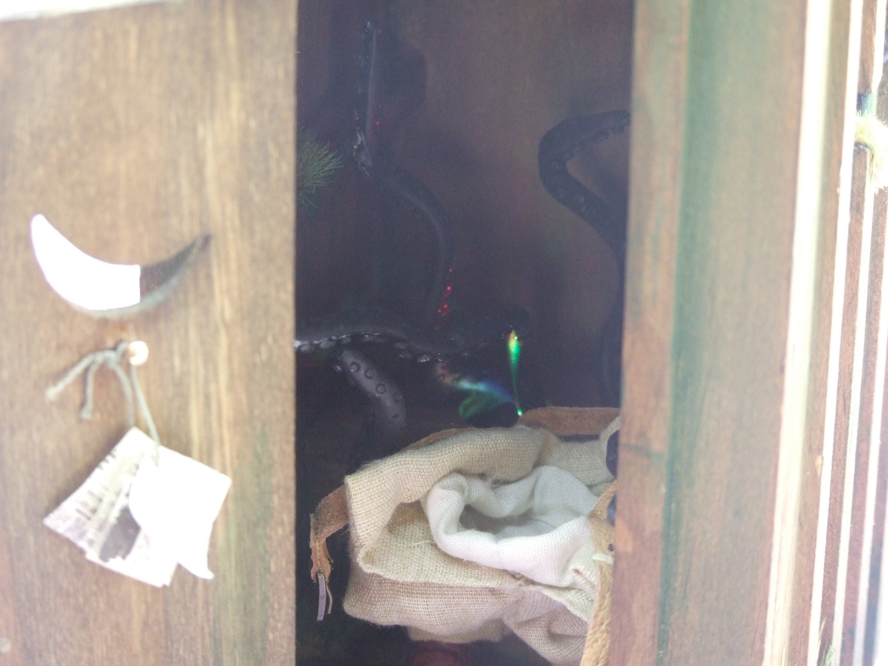 Creepy Outhouse : 'hasty Retreat' (MM113) - Etsy Australia