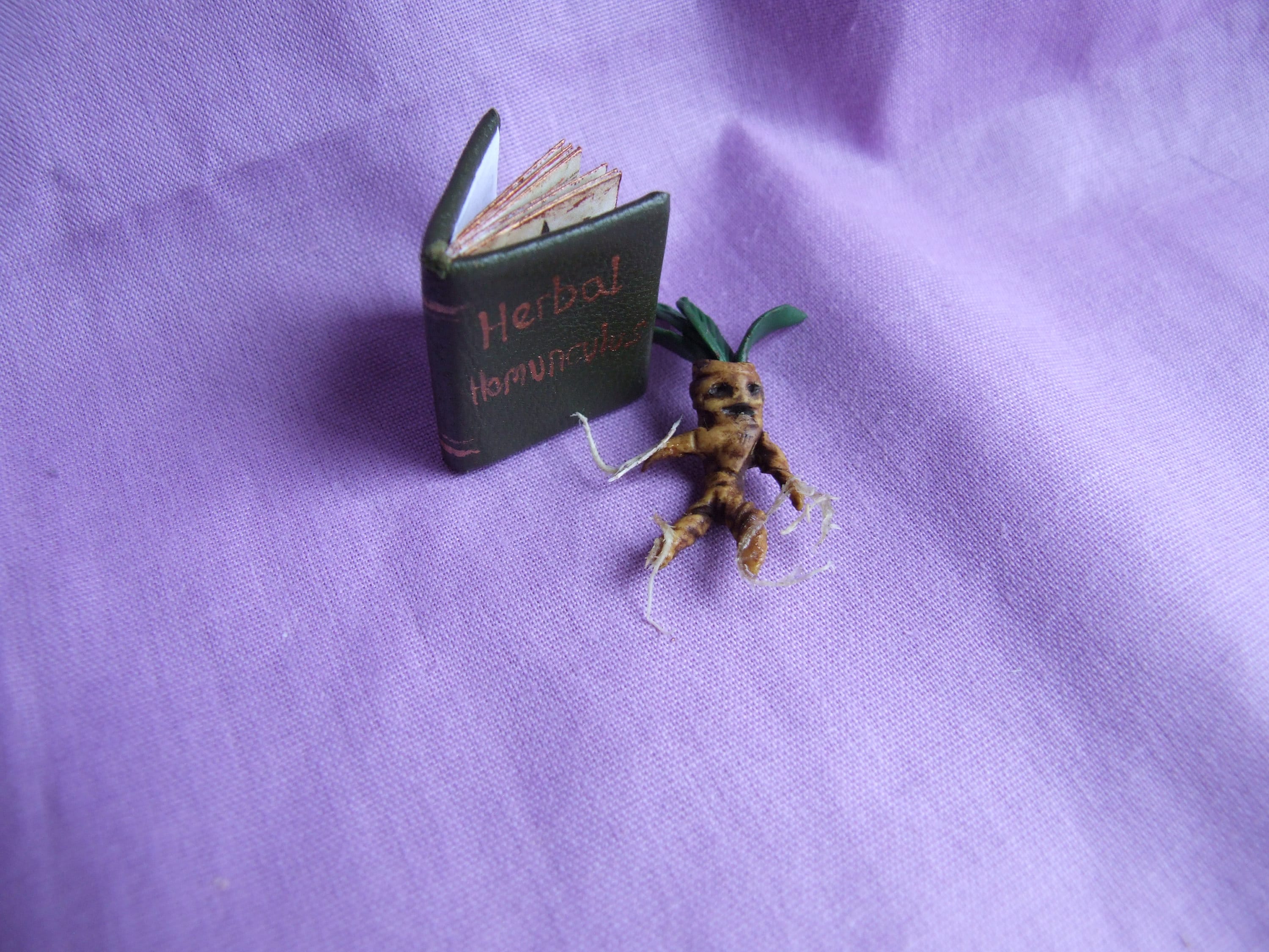Esoteric Book : 'herbal Homunculus', Plus Mandrake Root.eb33 - Etsy
