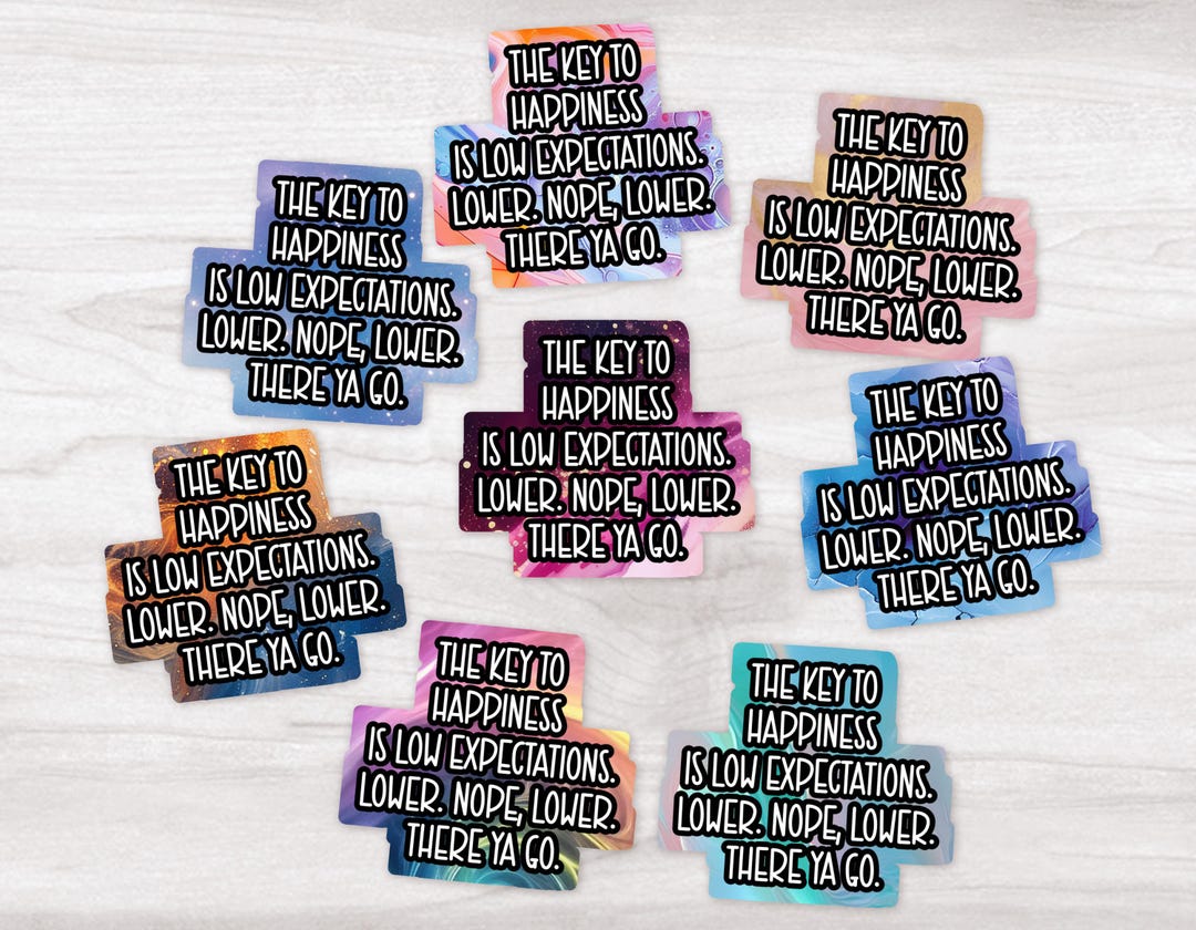 Funny 'low Expectations' Vinyl Sticker: Sarcastic Humor Decor - Etsy