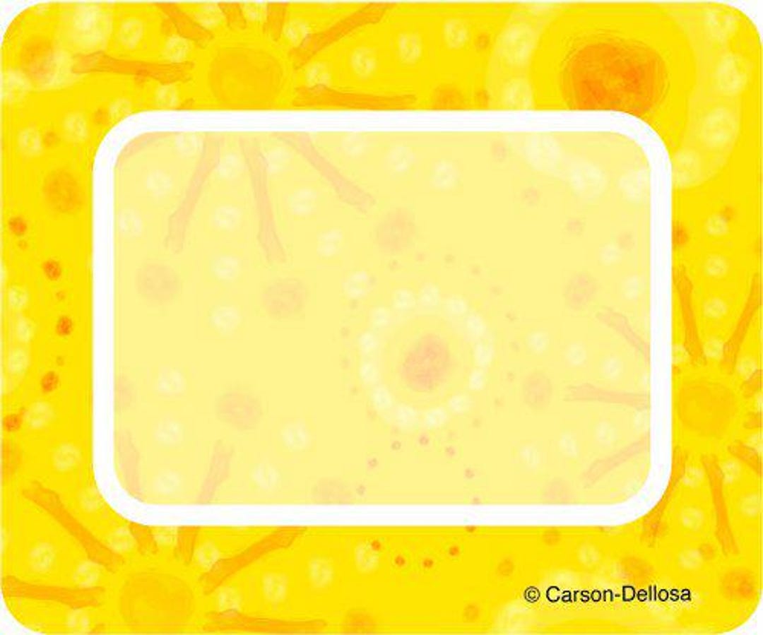 Carson Dellosa Lemon Lime Name Tags (150029) - Etsy