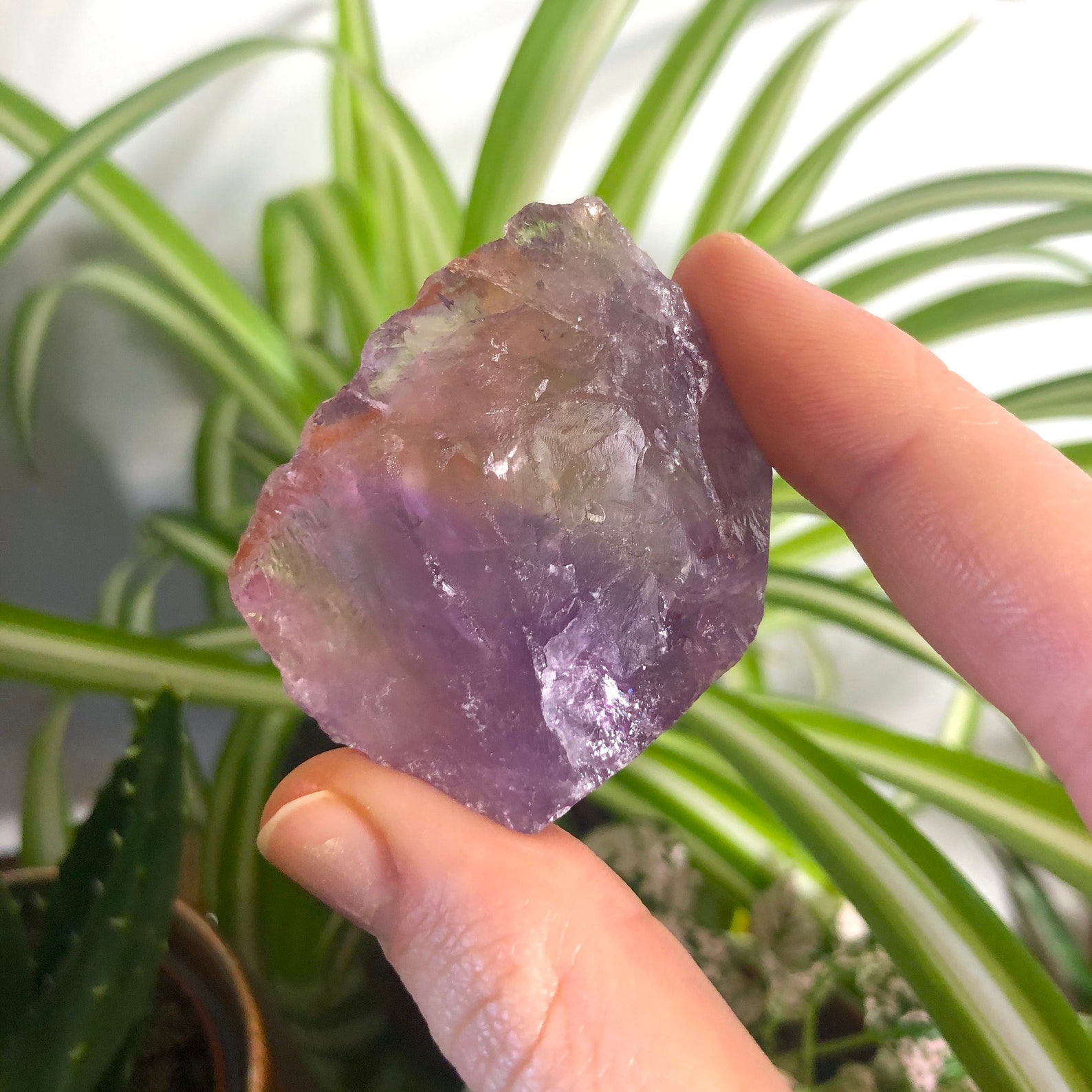 Ametrine Raw Ametrine 'A' Grade Rough Natural Stone | Etsy