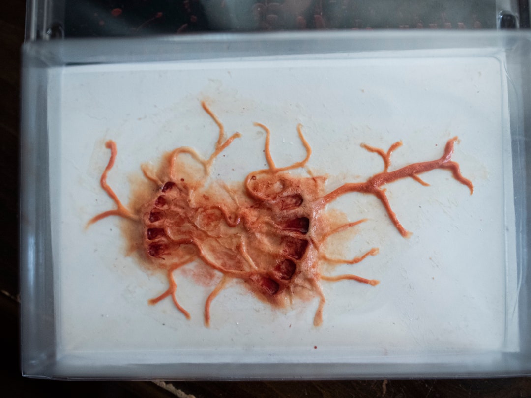 The Last of Us (zombie Bite) - Etsy