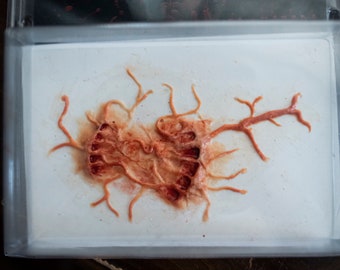 The Last of Us Clicker Mask, the Clicker Cosplay Mask, Fungus Mask ...