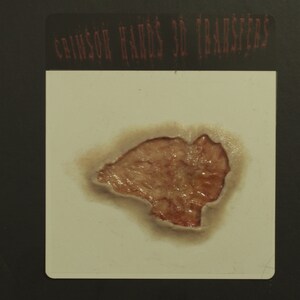 3d Transfer zombie Wound Horror Cosplay - Etsy