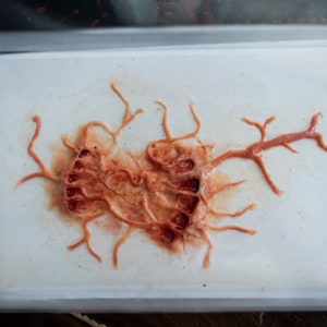 The Last of Us Clicker Zombie Mask: Realistic Cosplay Prop for ...