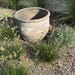 XXL Vintage Round Clay Pot - Etsy