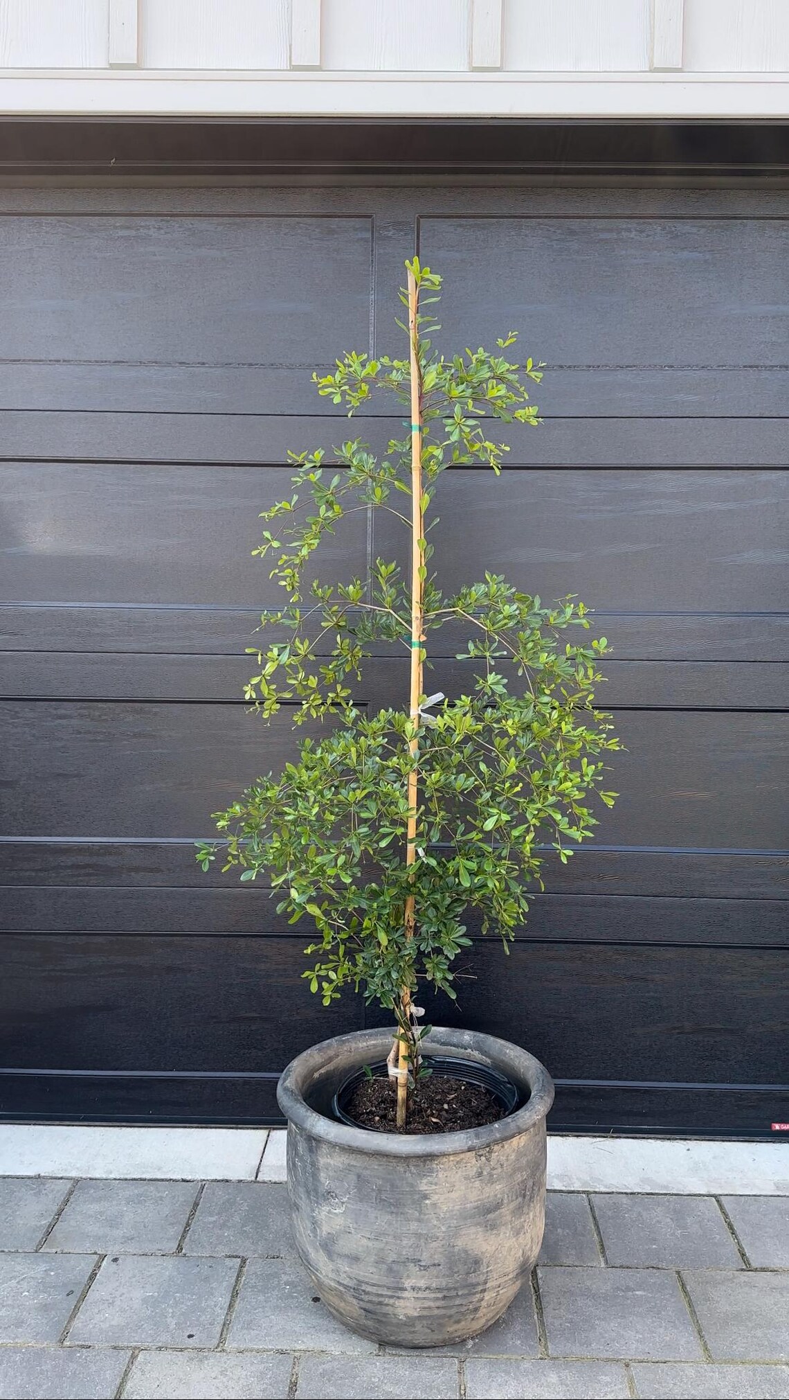 XXL Vintage Round Clay Pot - Etsy