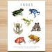 Frog Poster, Frog Illustration, Frog, Tropical Decor, Tropical, Home ...