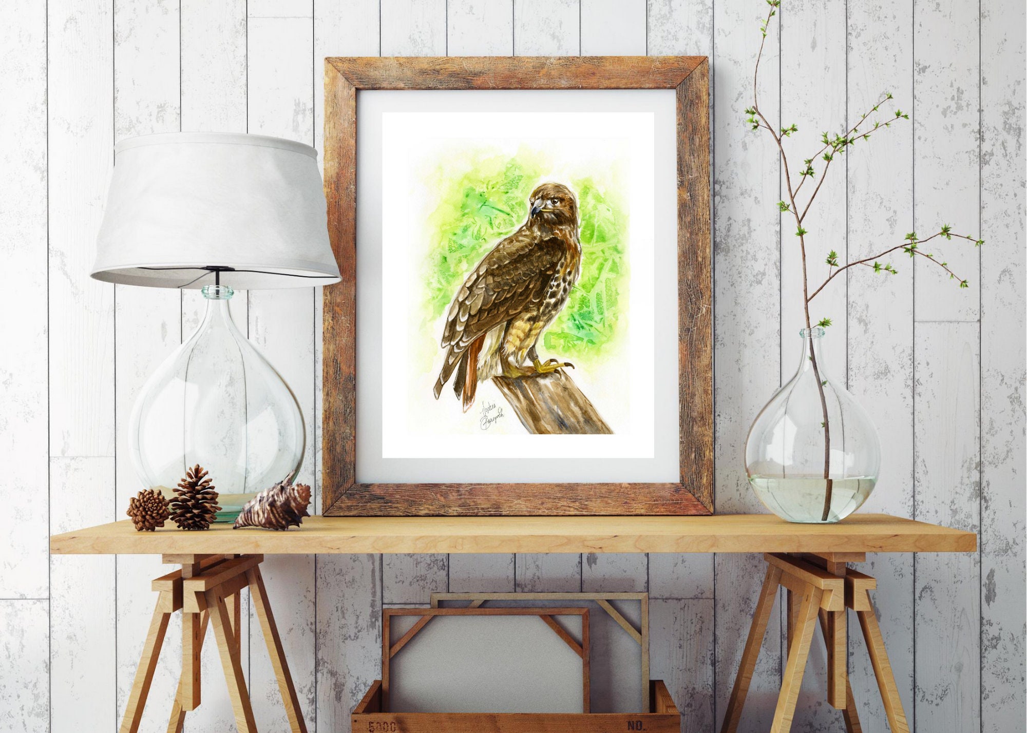 Red Tail Hawk Illustration Red Tail Hawk Hawk Watercolor - Etsy