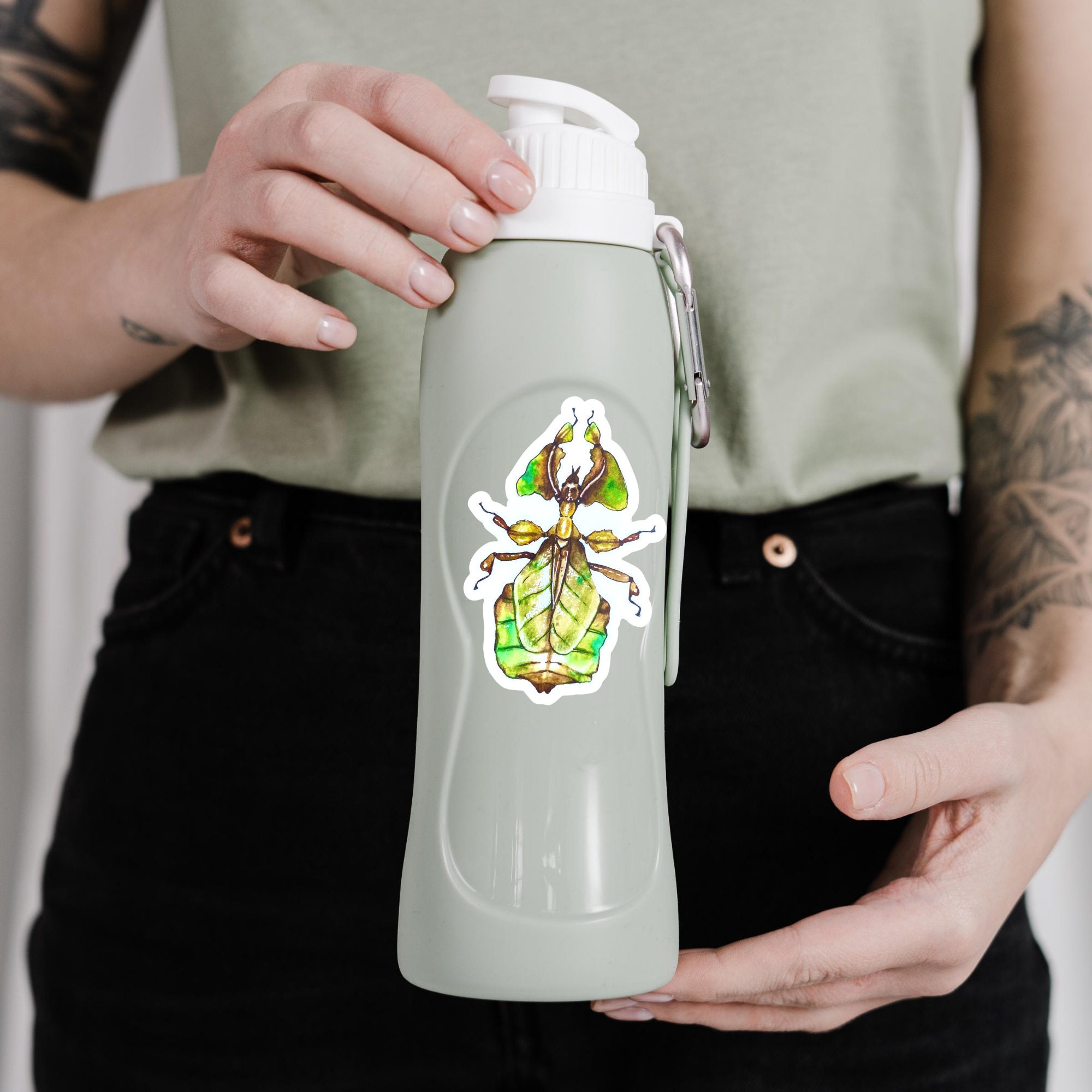 Leaf Bug Vinyl Sticker, Bug Stickers, Bug, Leaf Bug, Sticker, Insect ...