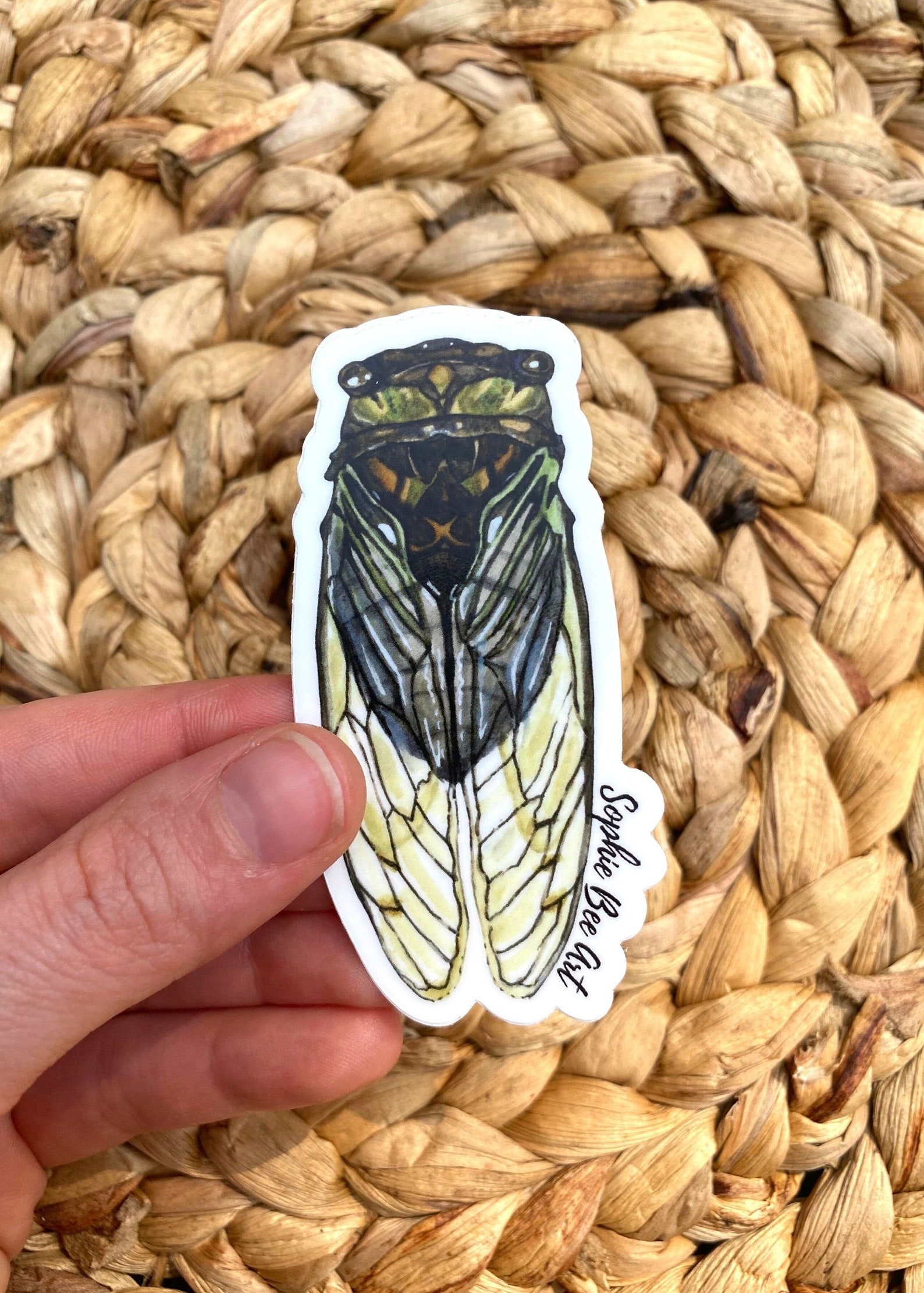 CICADA Die-cut (NOT Clear) Vinyl Sticker, Cicada Stickers, Cicada ...