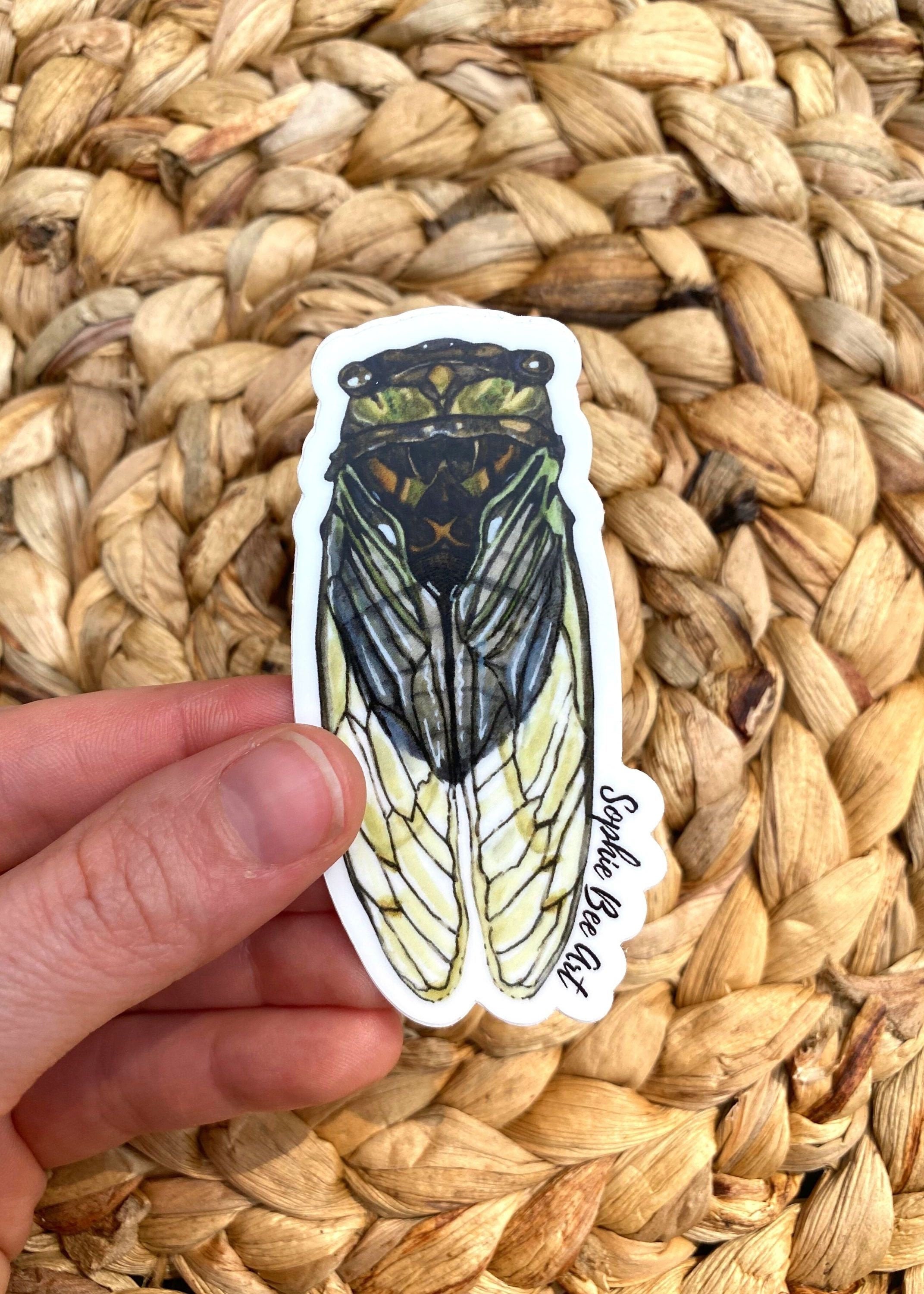 CICADA Die-cut (NOT Clear) Vinyl Sticker, Cicada Stickers, Cicada ...