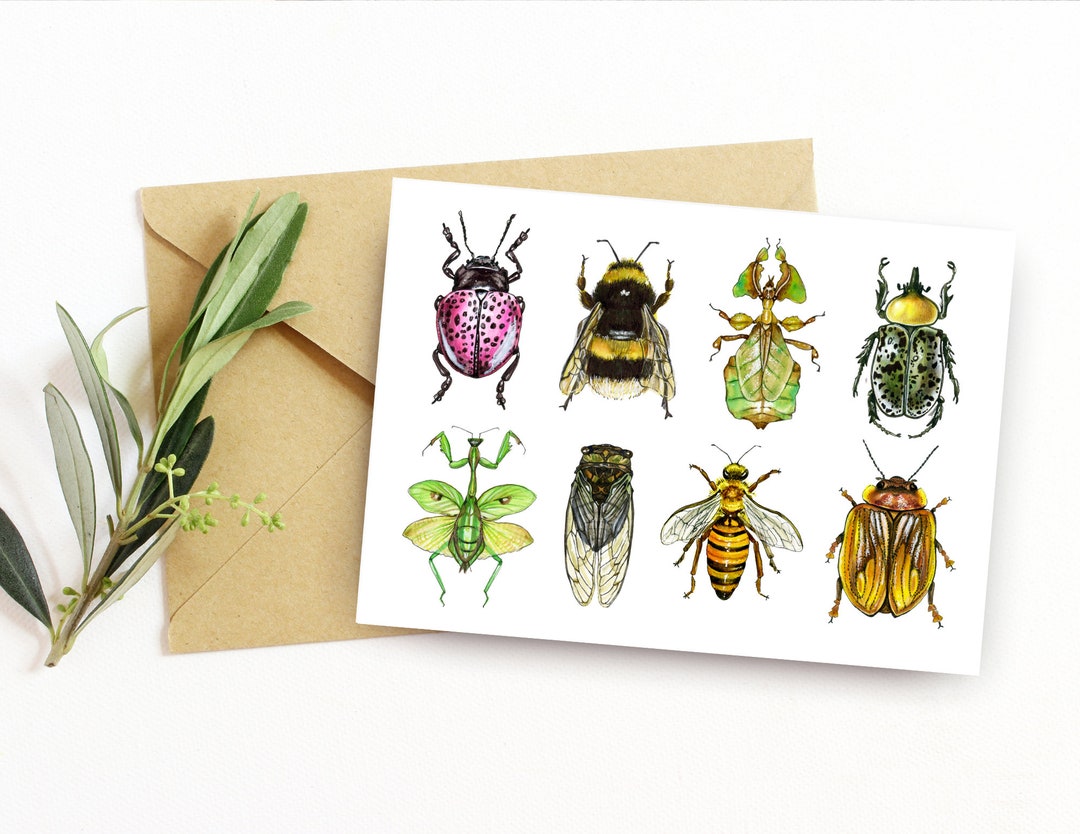 Insect Card Bug Cards Greeting Card Insect Art Decor - Etsy