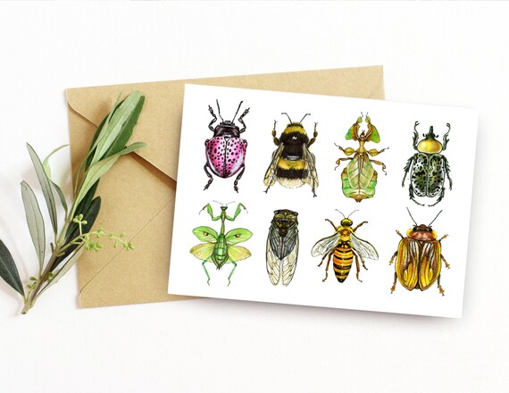 Insect Card Bug Cards Greeting Card Insect Art Decor - Etsy