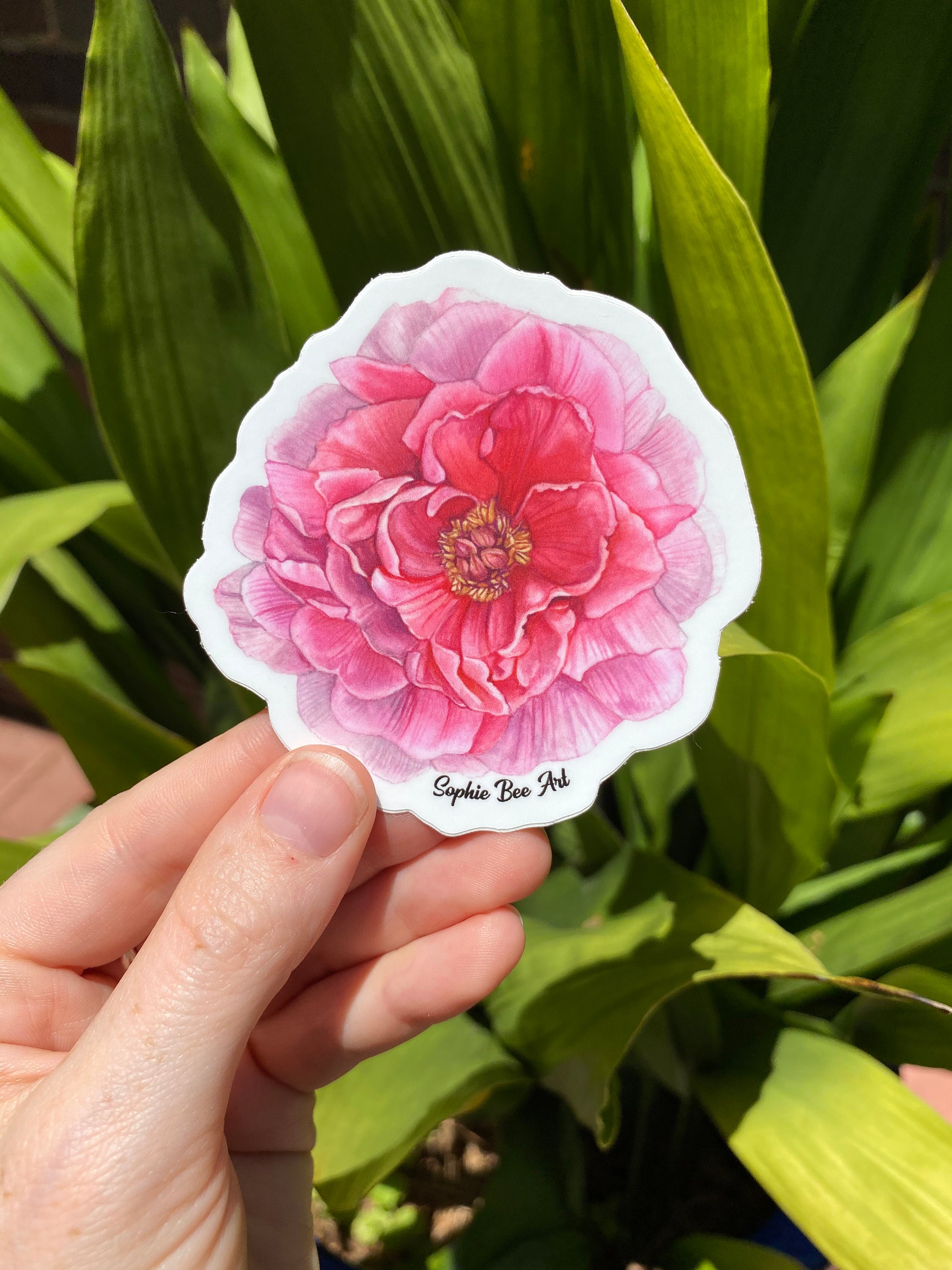 Peony Flower Vinyl Sticker Flower Stickers Peony Flower | Etsy