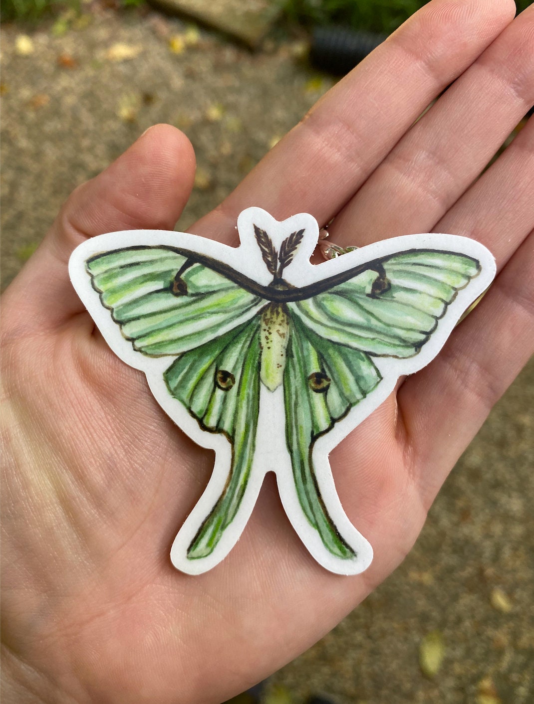 LUNA MOTH Die-Cut Vinyl Sticker Luna Moth Stickers Luna | Etsy