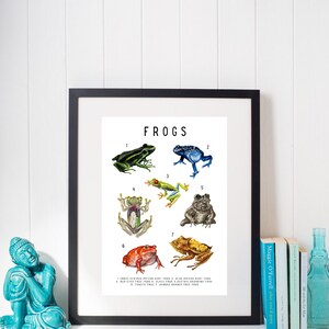 Frog Poster, Frog Illustration, Frog, Tropical Decor, Tropical, Home ...