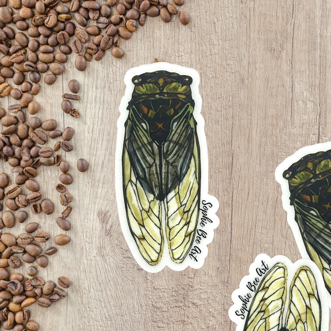 CICADA Die-cut NOT Clear Vinyl Sticker Cicada Stickers - Etsy