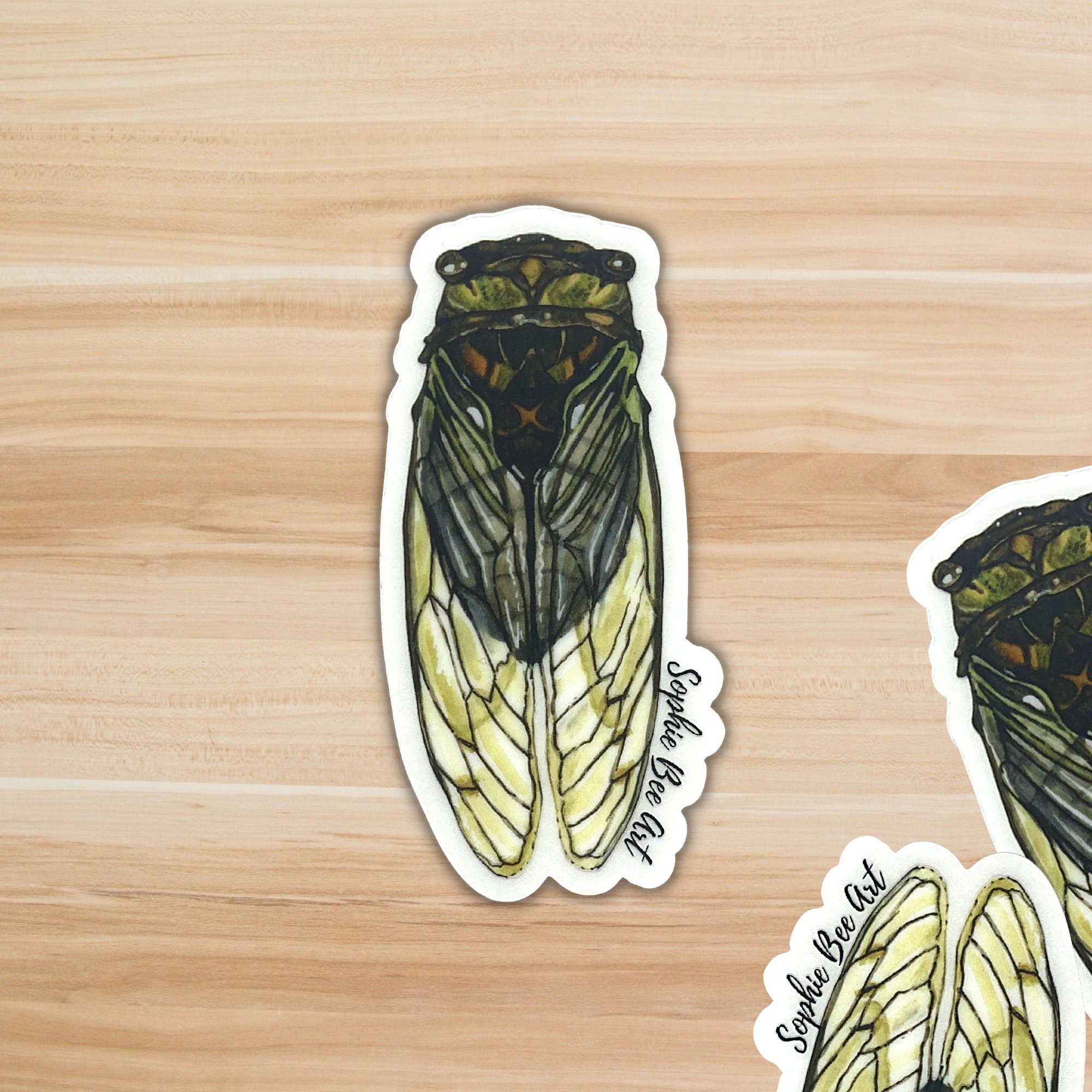 CICADA Die-cut NOT Clear Vinyl Sticker Cicada Stickers | Etsy