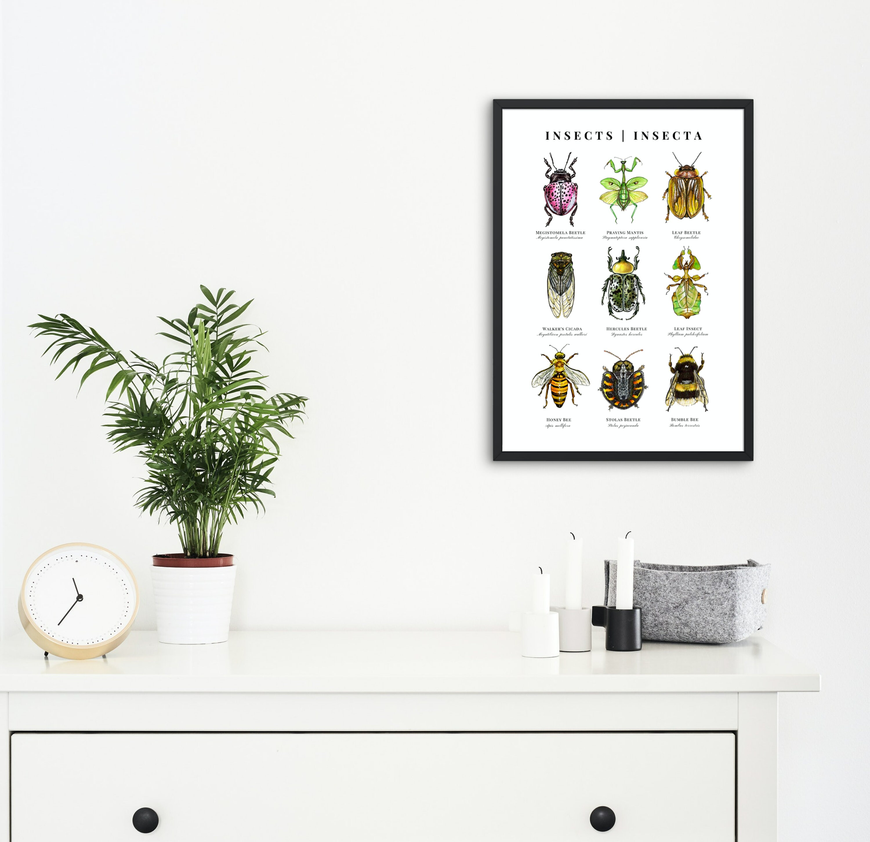 INSECT POSTER Insect Painting Insects Bugs Scientific Art - Etsy UK